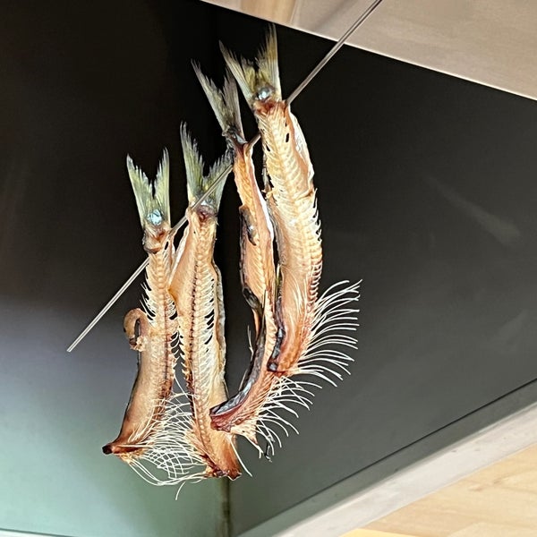 Rino Japonese Restaurant - Japanese Restaurant in Matosinhos