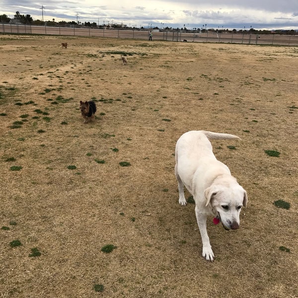 Barkin' Basin Dog Park - Centennial Hills - 9 tips