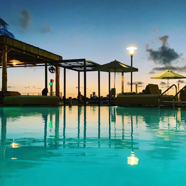 Mondrian Pool - Hotel Pool in Miami Beach