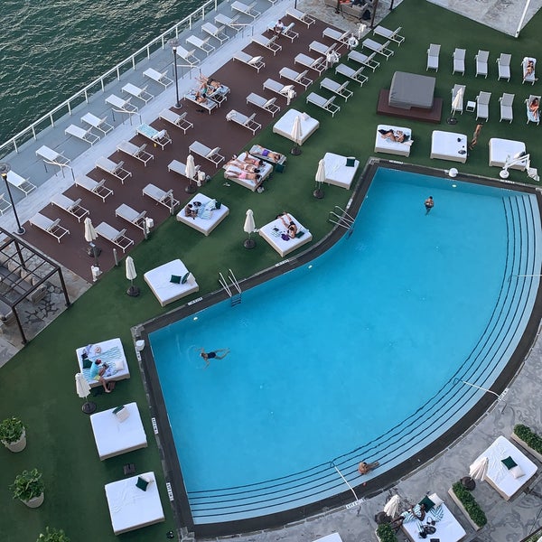 Mondrian Pool - Hotel Pool in Miami Beach