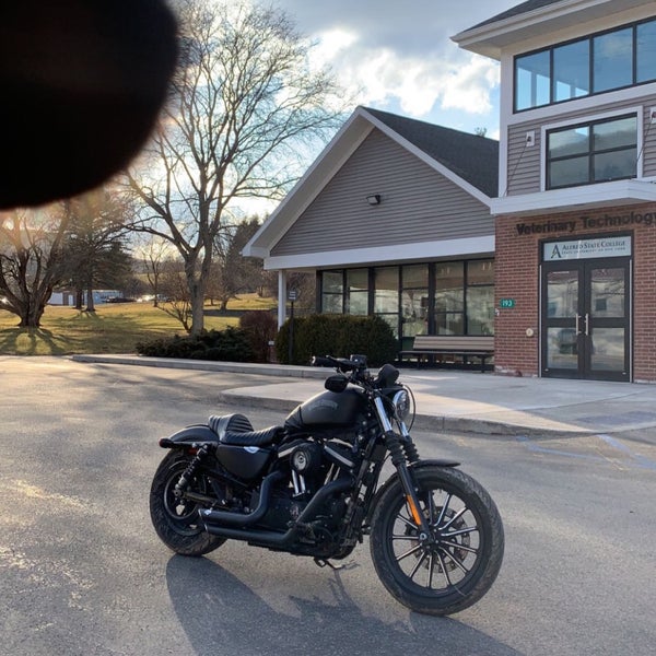 Alfred - Town in Alfred