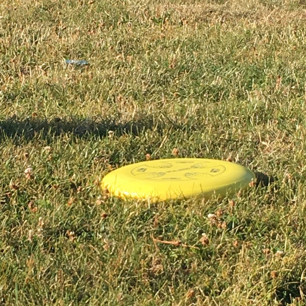 Photos at Ed Benedict Park - Park in Portland