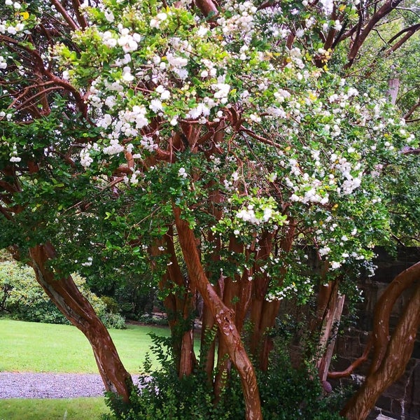 Dunloe Castle Hotel - Killarney, Co Kerry
