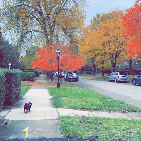 Indian Village - Indian Village - Detroit, MI