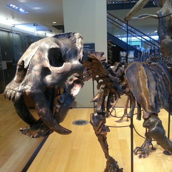 Photos at Beneski Museum of Natural History - 11 Barrett Hill Rd