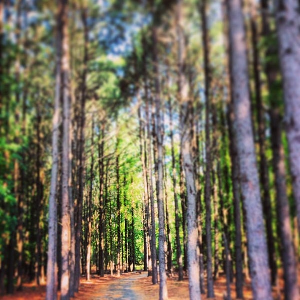 Two Rivers Park - Park