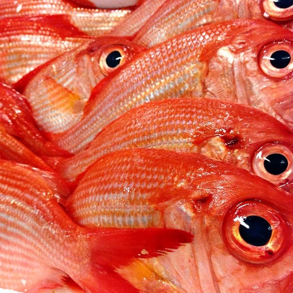 Photos at New Fulton Fish Market - 5 tips