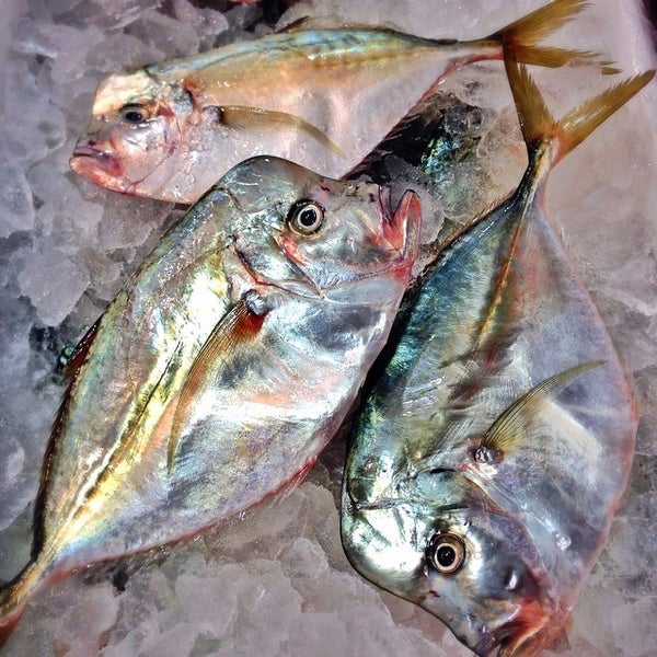 Photos at New Fulton Fish Market - 5 tips