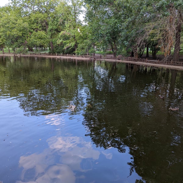 Trinity Park Duck Pond - 8 tips