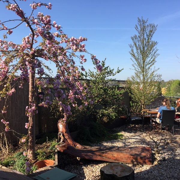 Panorama Café - 69 tips from 389 visitors