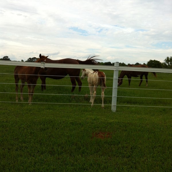 Southern Cross Ranch - 1670 Bethany Church Rd