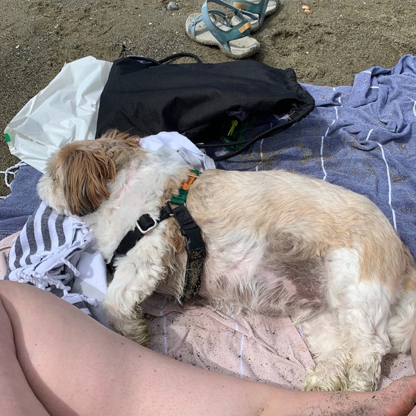 Howarth Park - Beach