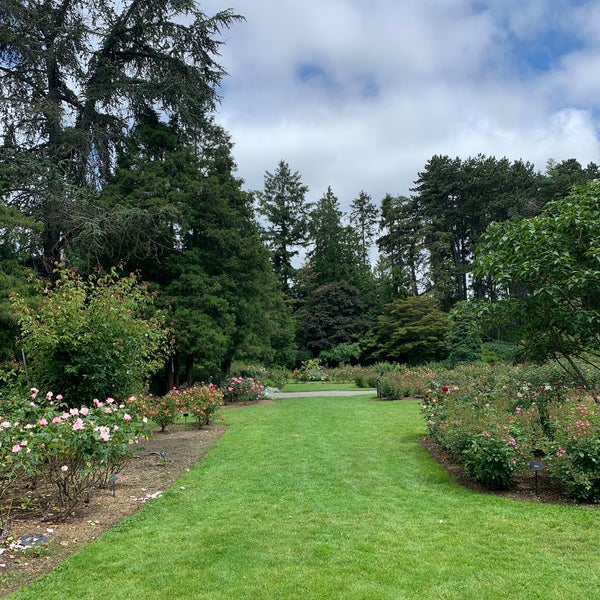 Photos at Woodland Park Rose Garden - Garden in Seattle