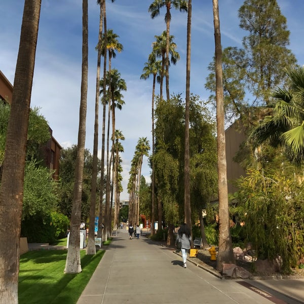 Arizona State University Campus Palm Walk