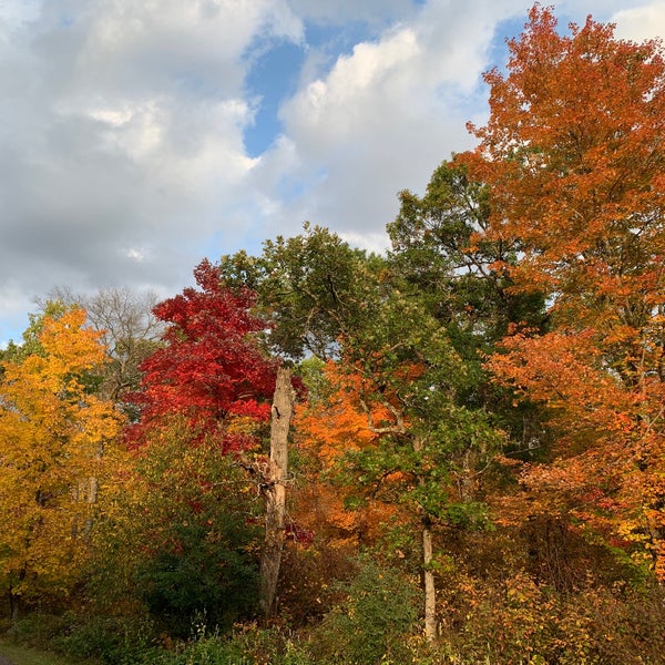 Wild River State Park - 6 tips from 331 visitors