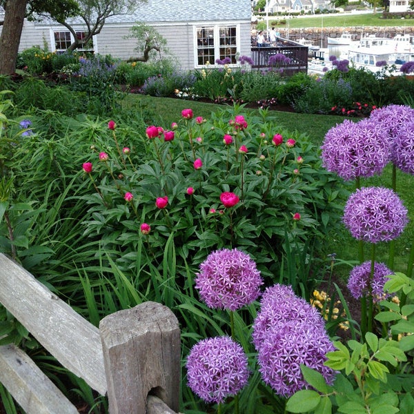 Photos at Barnacle Billy's - Seafood Restaurant