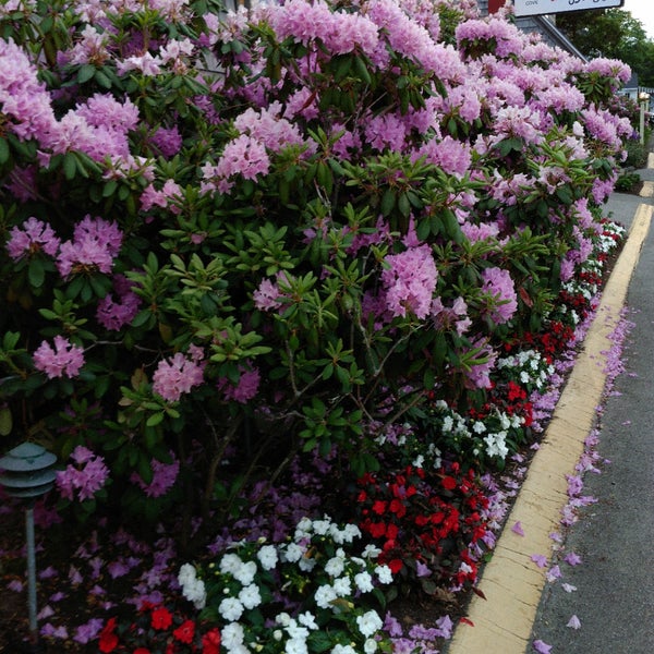 Photos at Barnacle Billy's - Seafood Restaurant