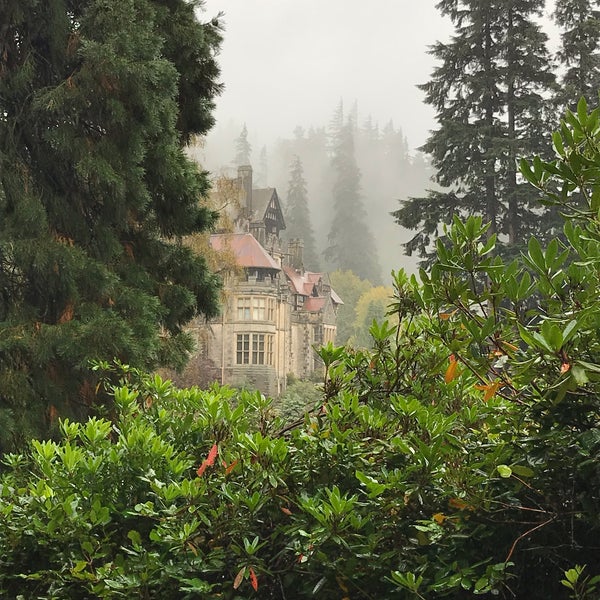 Cragside Visitors Centre - Scenic Lookout in Rothbury