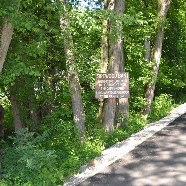 Scenic Ridge Campground - W7991 R&W Townline Road