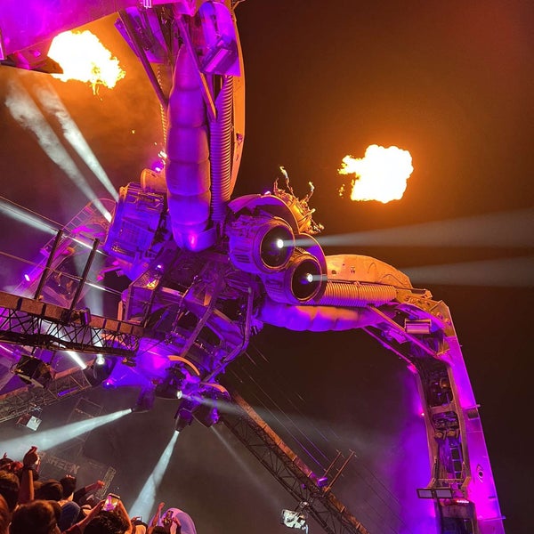 Arcadia Music Festival 22 - الوكرة, الوكرة