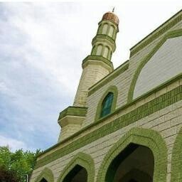 American Moslem Society Dearborn Masjid - 9945 Vernor Hwy