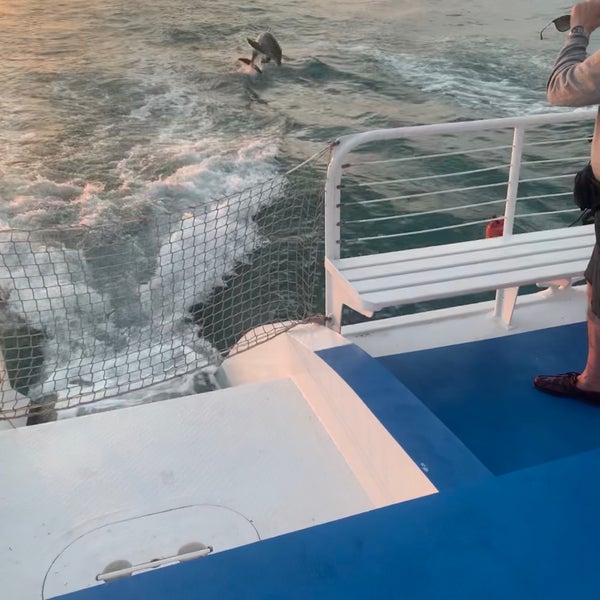 Fury Snorkeling Catamaran - Boat or Ferry in Key West