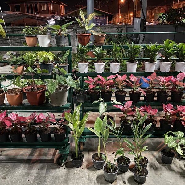 Kilo 5 Carden House By บ้านสวนกิโล 5 - 2 tips