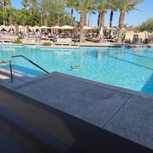 Oasis Pools - 3 tips