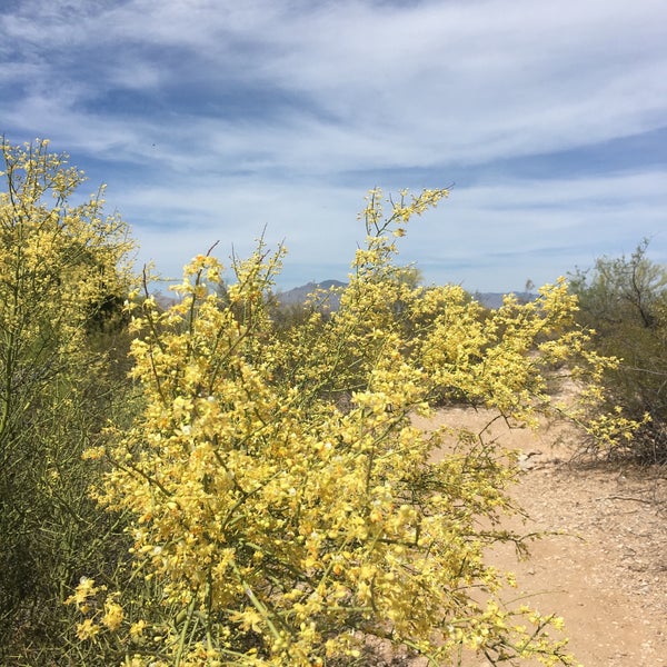 Greasewood Park - Tucson, AZ