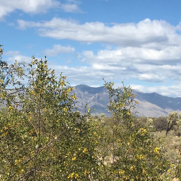 Greasewood Park - Tucson, AZ