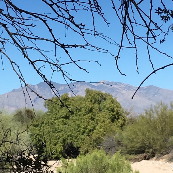 Greasewood Park - Tucson, AZ
