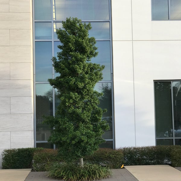 MedAssets - Office in Plano