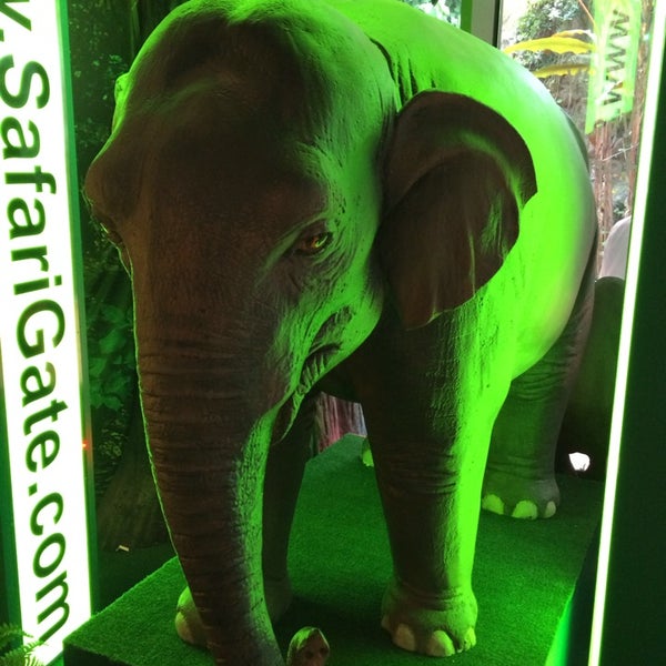 Duck & Hippo Visitor Centre Flyer - Downtown Core - 6 tips from 346 ...