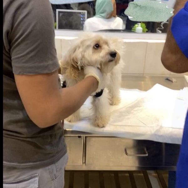 Joon Veterinary Clinic & Pet Shop - Pet Supplies Store in الرياض