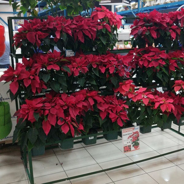 Freund Merliot - Ciudad Merliot