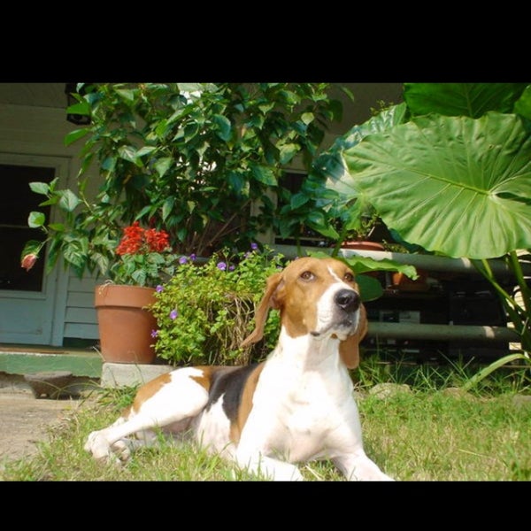 Knight Park - 1 tip from 59 visitors