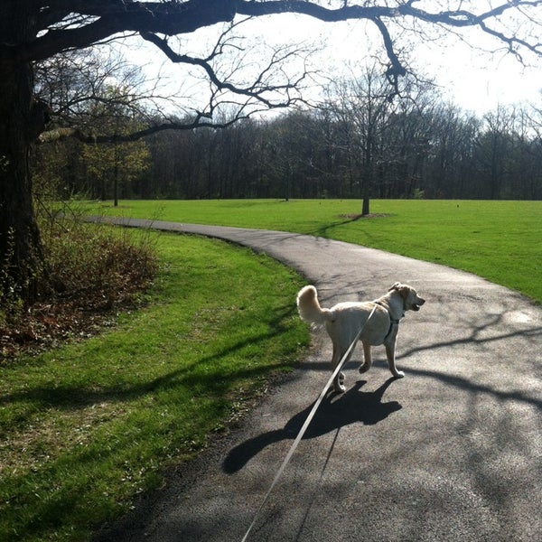 Chartwell Park - Peoria, IL