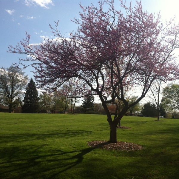Chartwell Park - Peoria, IL