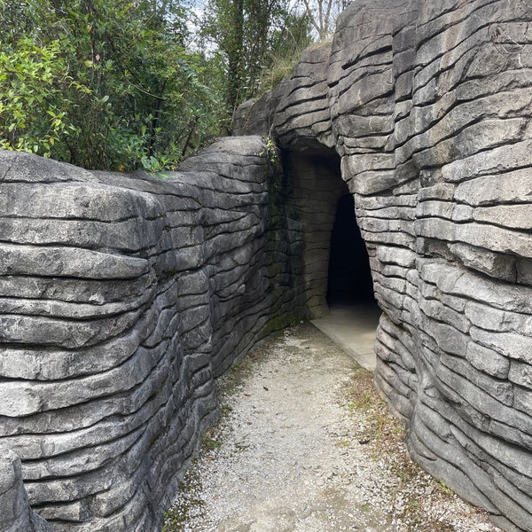 Ruakuri Cave - 7 tips