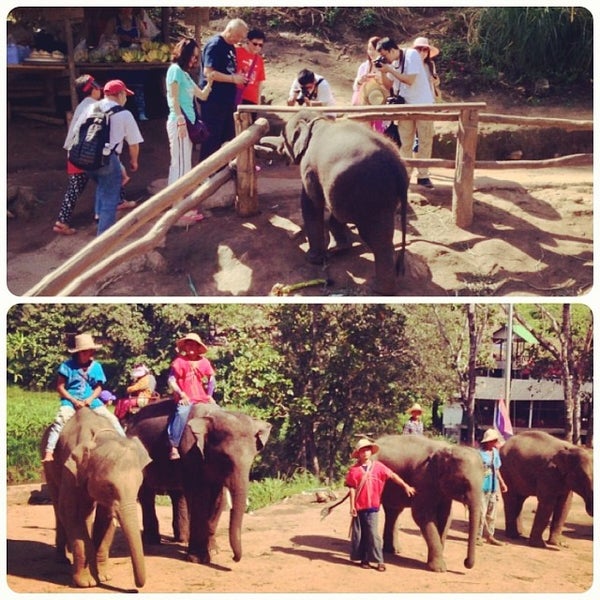 Elephant Reserve - 52 visitors