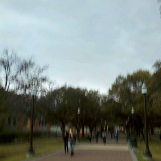 Military Walk - Texas A&M University - Texas A&M University