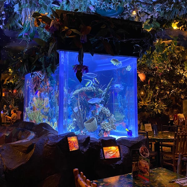 Photos at Rainforest Cafe - Sawgrass Mills - 59 tips