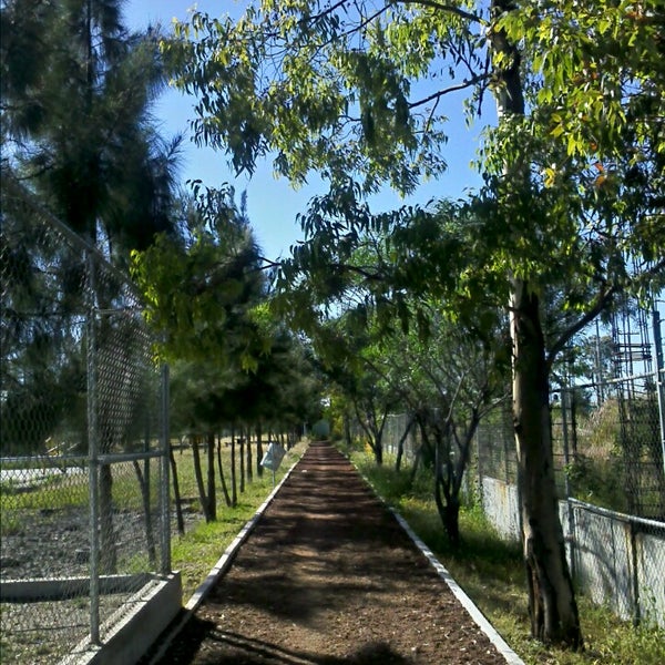 Parque Álamos - Celaya, Guanajuato
