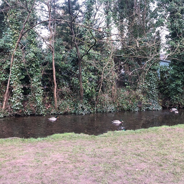 Shere - Surrey, Surrey