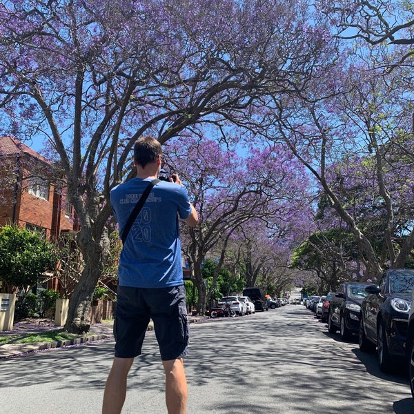 Milson Park - 2 tips