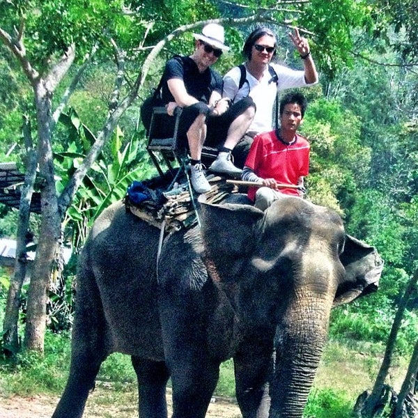 Elephant Reserve - 52 visitors