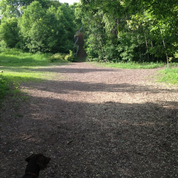 Arlington Arkwright Dog Park - Payne - Phalen - 5 tips
