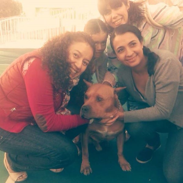 Colegio Humane - Education