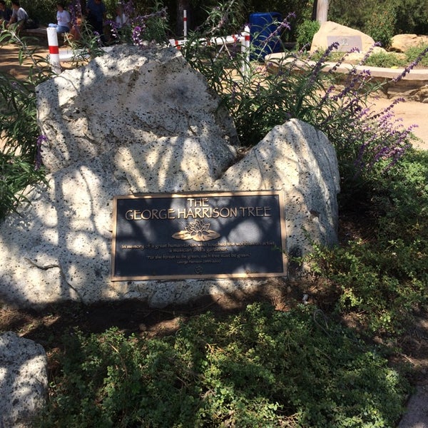 Photos at The George Harrison Tree - 2 tips