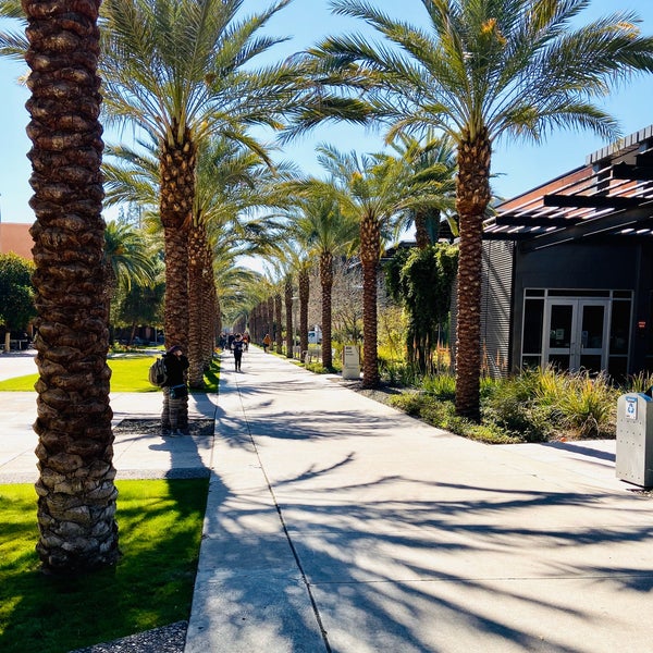 Arizona State University Campus Palm Walk